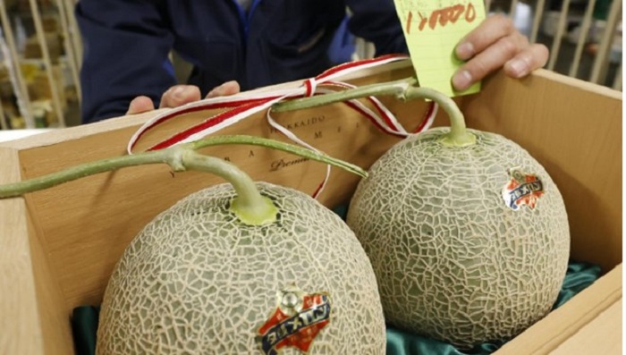 1100 dollarlyk gawun - TURKMENISTAN AND WORLD NEWS