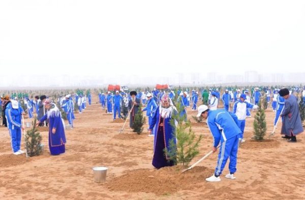 Forest plantations in Turkmenistan - TURKMENISTAN AND WORLD NEWS