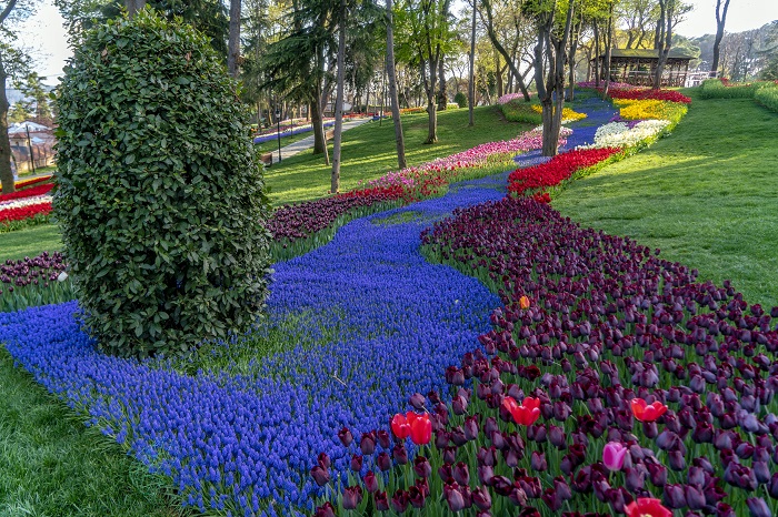 Enjoy the colours of spring in Istanbul – TURKMENISTAN AND WORLD NEWS